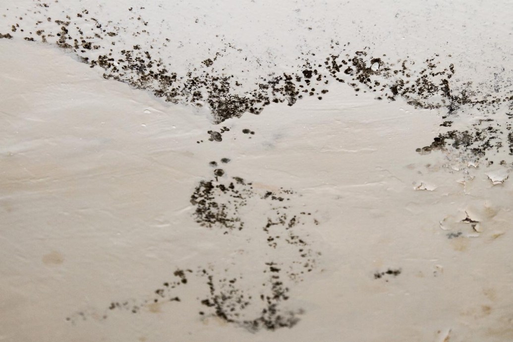 This Is What Mold on the Ceiling Means—and Here's How to Get Rid of It