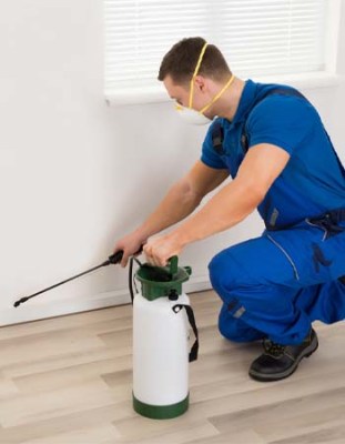 How Much Does Pest Control Cost? - Bob Vila
