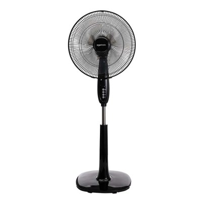 The Best Oscillating Fans (Top Picks)
