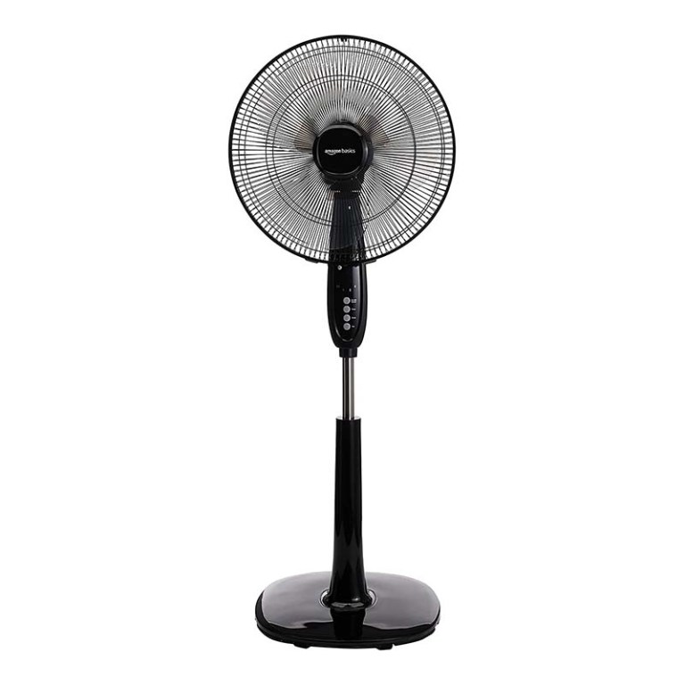 The Best Oscillating Fans (Top Picks)