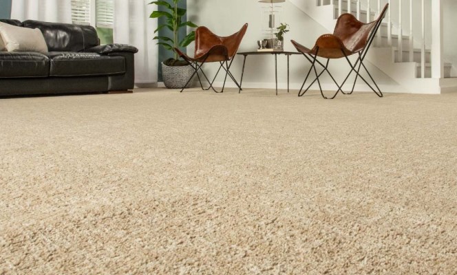 The 8 Best Places to Buy Carpet - Bob Vila