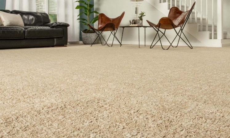 The 8 Best Places to Buy Carpet - Bob Vila