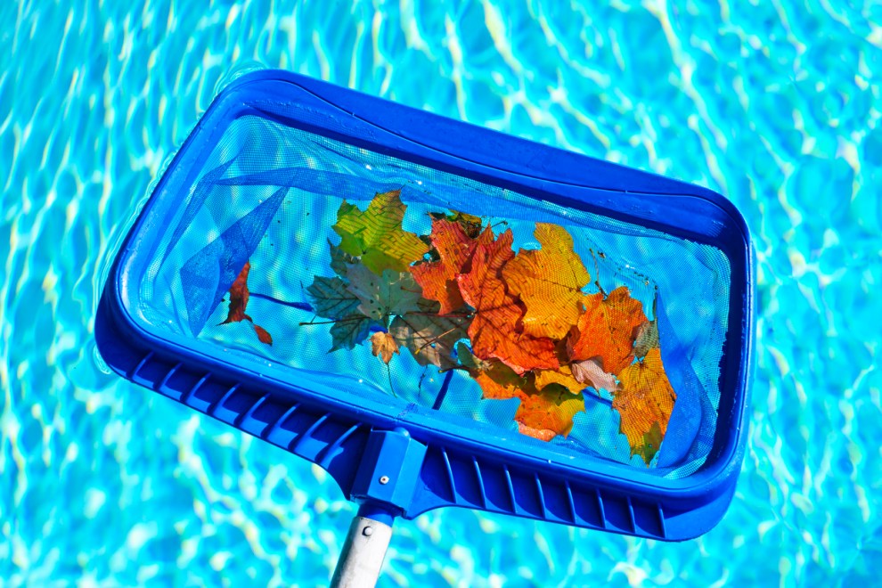 7 of the Best Pool Skimmers Today - Top Picks by Bob Vila
