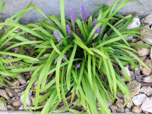 The Invincible Yard: 25 Ideas for Lazy Landscaping - Bob Vila