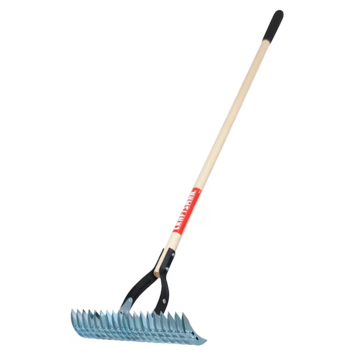 The Best Dethatcher Options for Your Lawn (2024 Review)