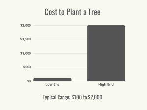 How Much Does It Cost to Plant a Tree? A Budget Guide - Bob Vila