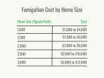 How Much Does Fumigation Cost? (2024 Guide)