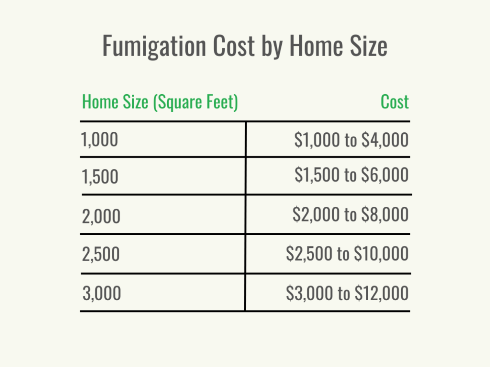 How Much Does Fumigation Cost? These Are the Main Factors
