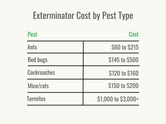 How Much Does an Exterminator Cost? - Bob Vila