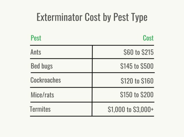 How Much Does an Exterminator Cost? - Bob Vila