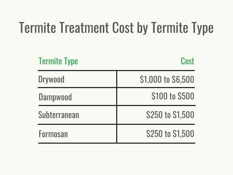 How Much Does Termite Treatment Cost? - Bob Vila