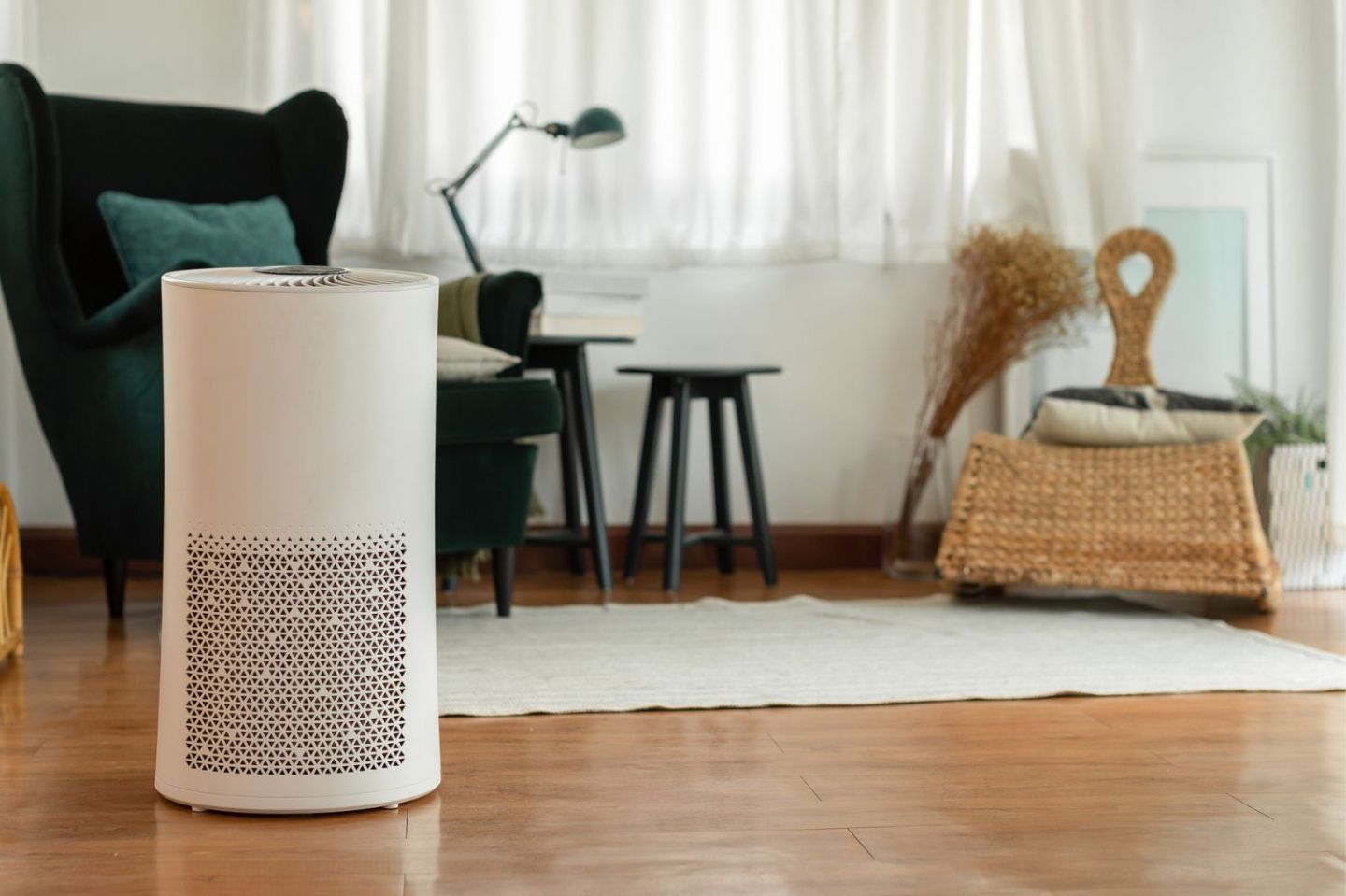 How Much Does a Whole-House Air Purifier Cost?