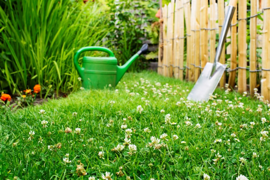 9 Tips for Maintaining a Nontraditional Lawn - Bob Vila