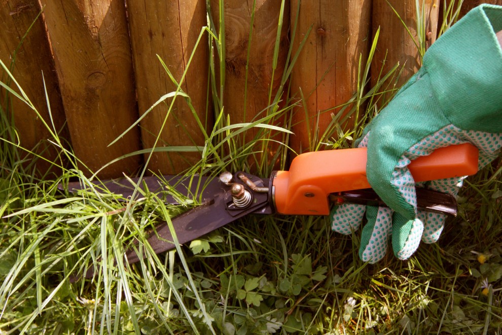 13 Time-Tested Tricks for a Bug-Free Backyard - Bob Vila