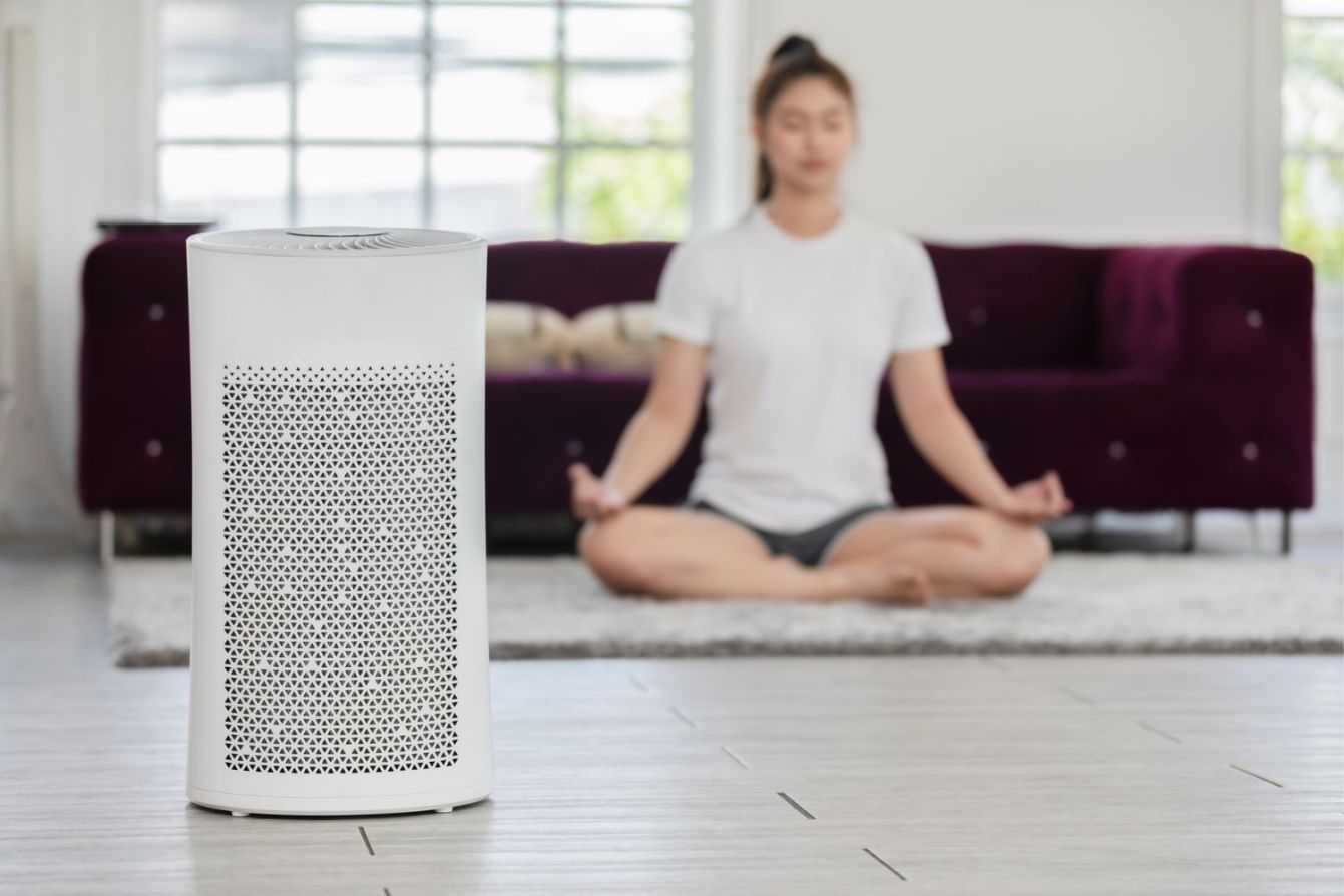 How Much Does a Whole-House Air Purifier Cost?