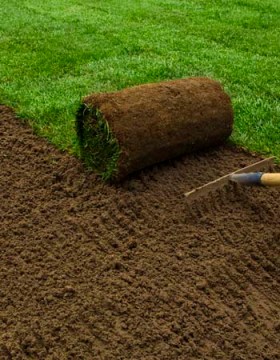 How Much Does Sod Cost to Install? (2024) - Bob Vila