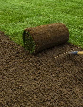 How Much Does Sod Cost to Install? (2024) - Bob Vila