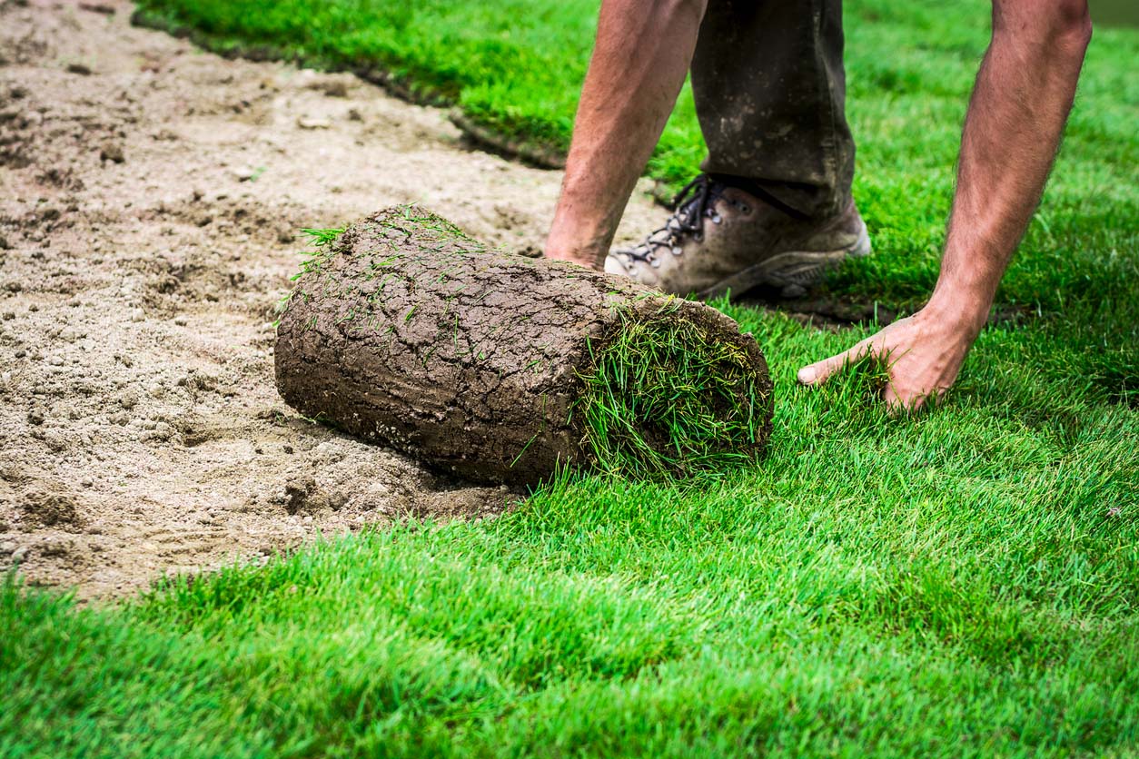 How Much Does Sod Cost to Install? (2024) - Bob Vila