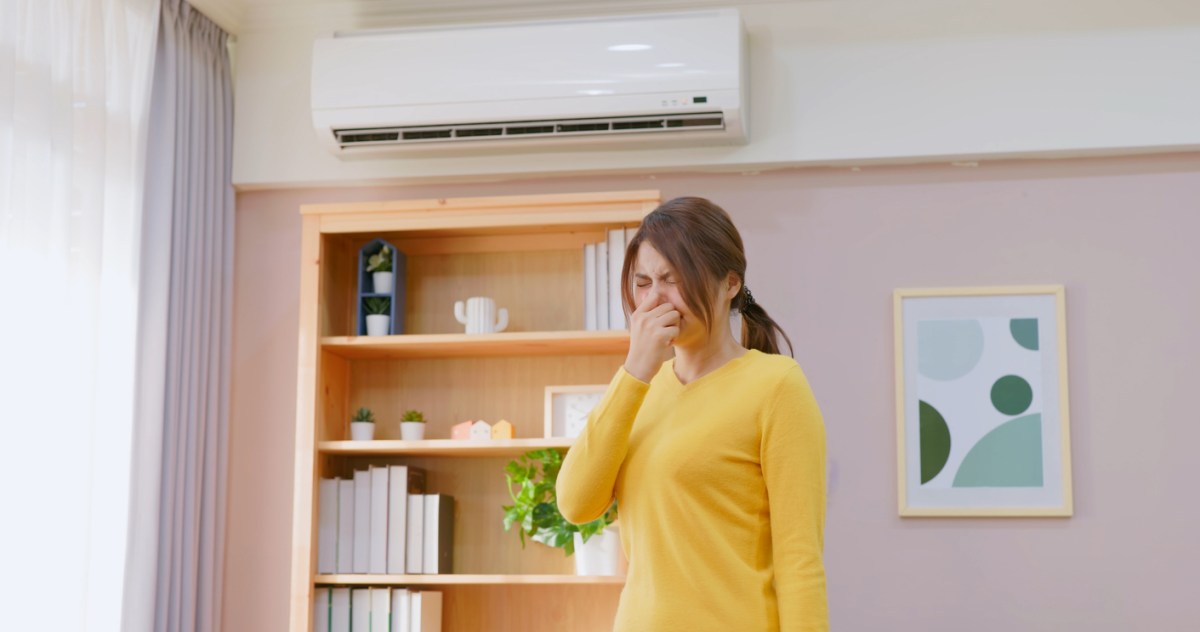 Solved! Here's Exactly How To Treat Mold in HVAC Systems - Bob Vila
