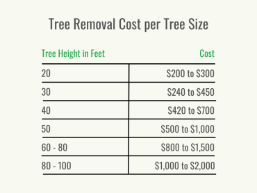 How Much Does It Cost to Remove a Tree? - Bob Vila
