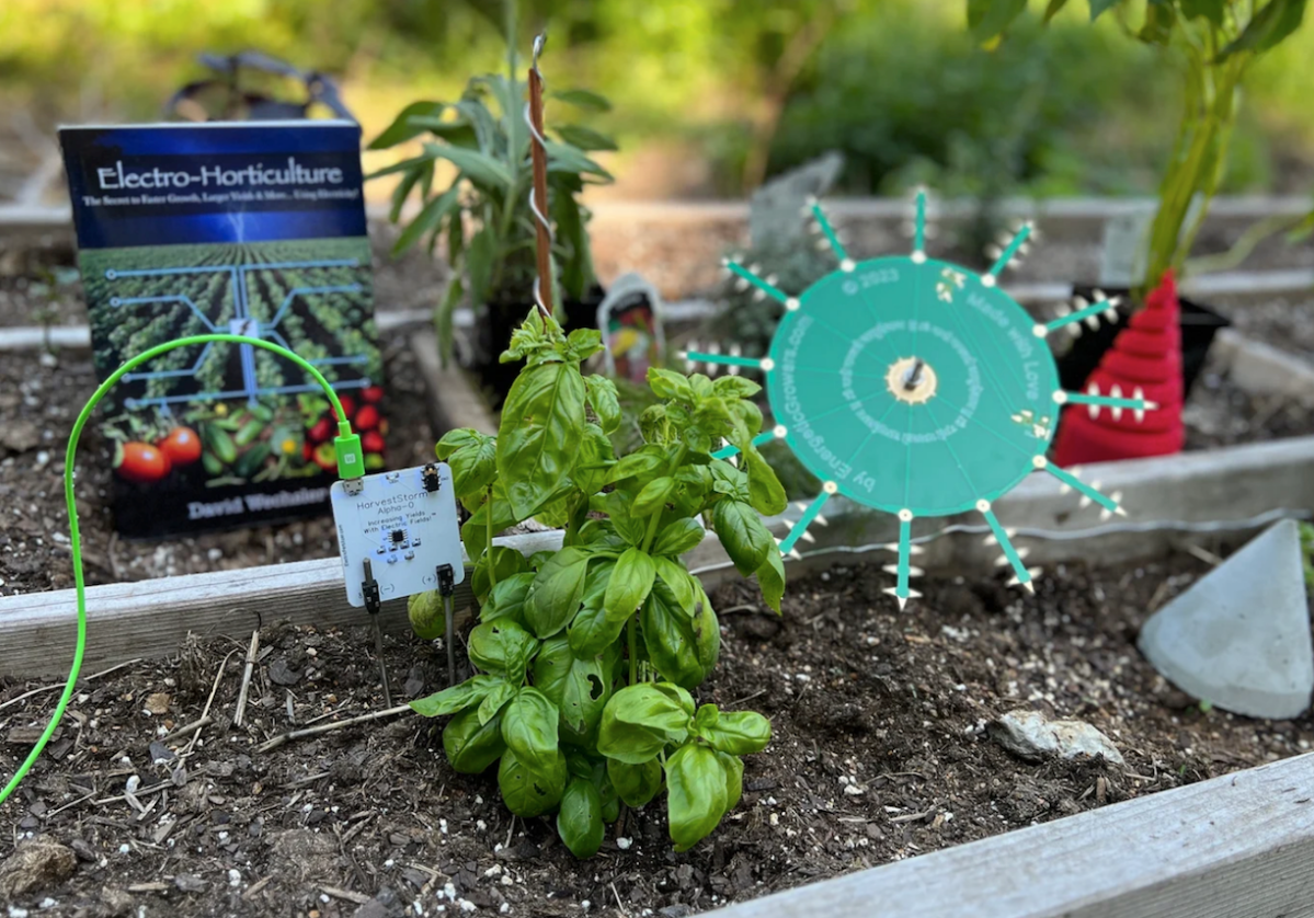 Does Electroculture Gardening Really Work? - Bob Vila