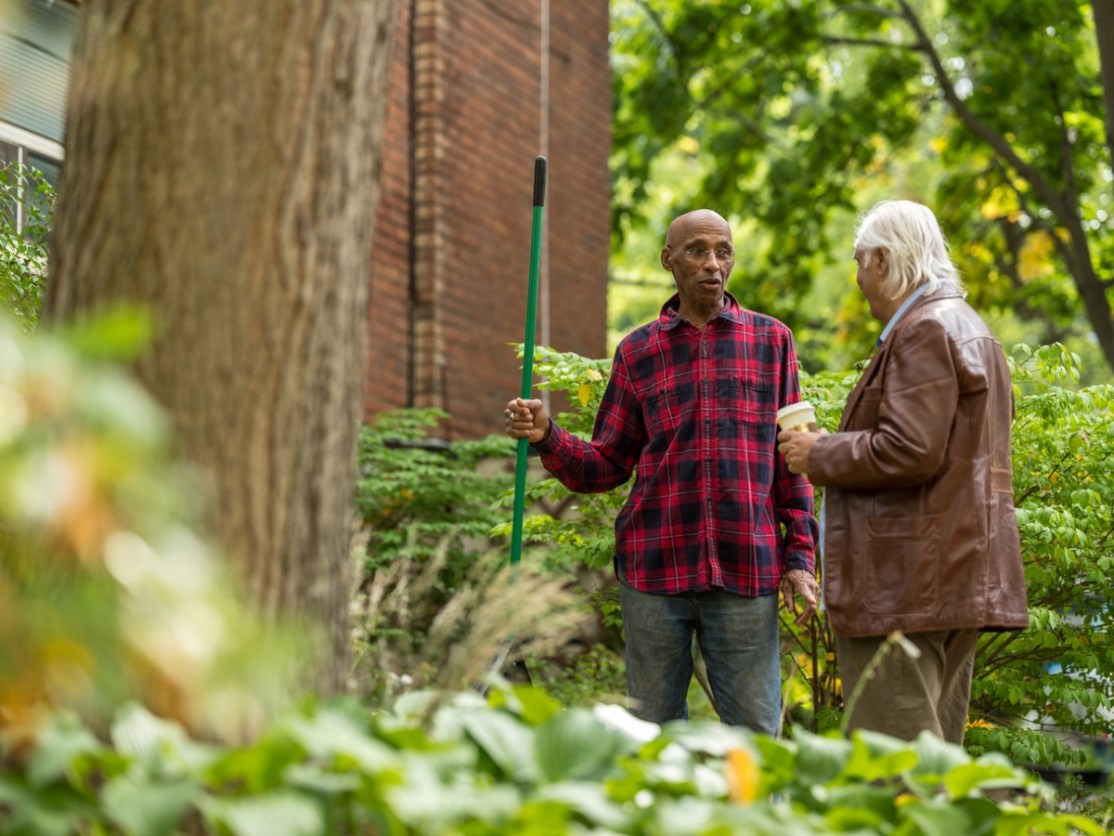 Trees and Property Lines: 9 Things All Neighbors Need to Know for Storm ...
