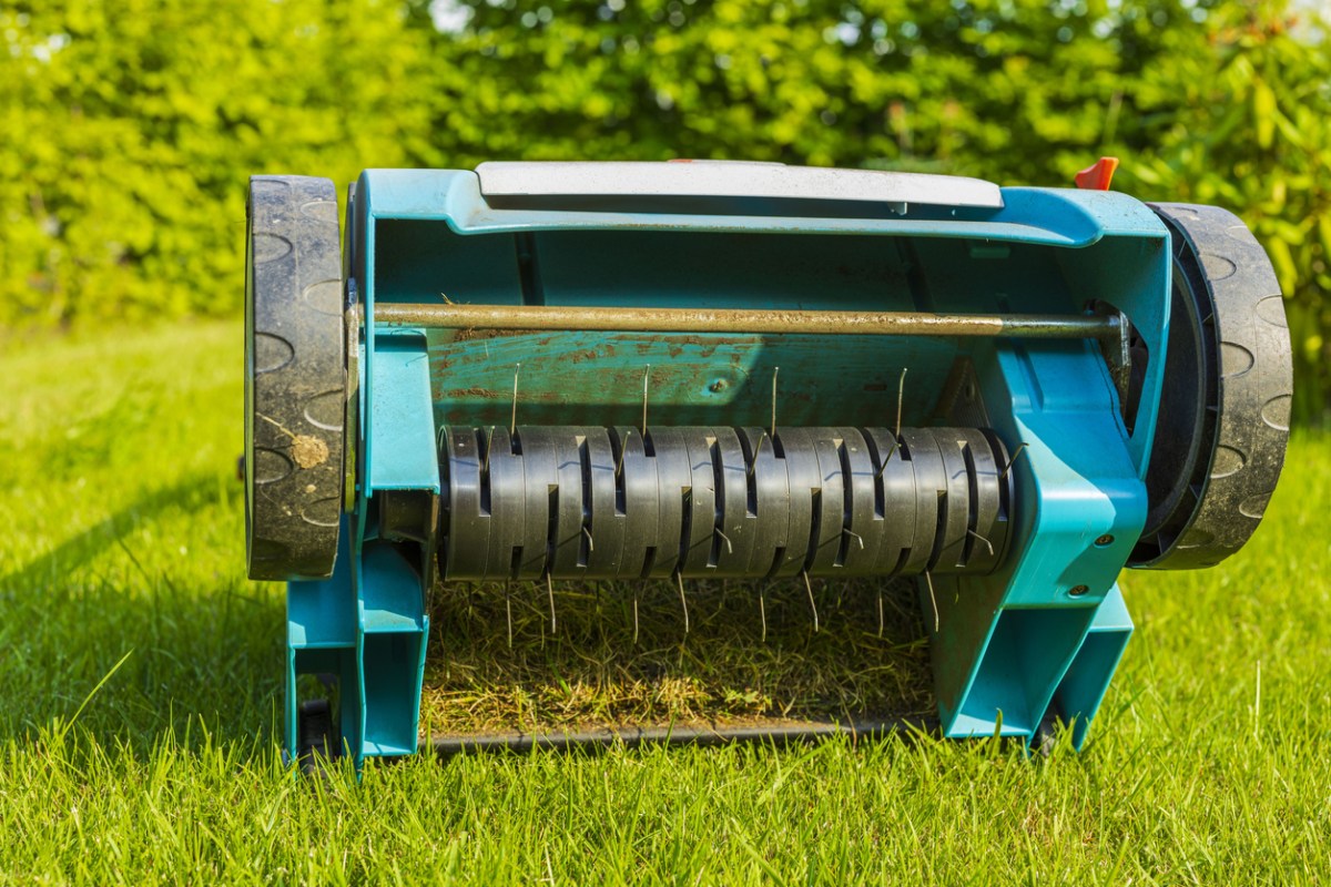 Does Liquid Lawn Aerator Actually Work? - Bob Vila