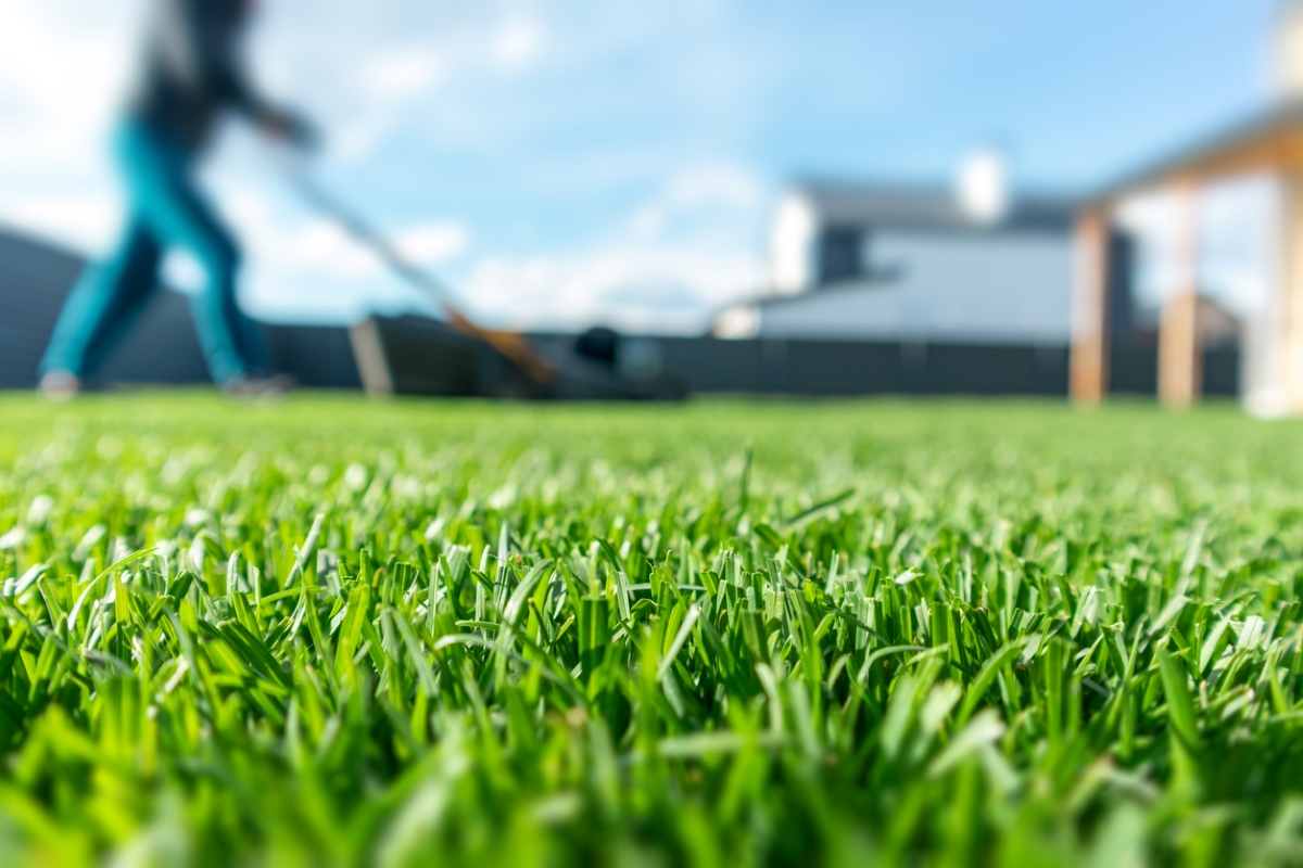 How Often Should You Mow the Lawn? - Bob Vila
