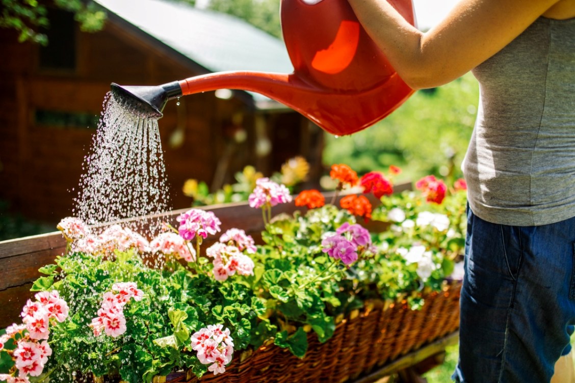 This One Mistake Can Destroy Your Container Gardening Plans - Bob Vila