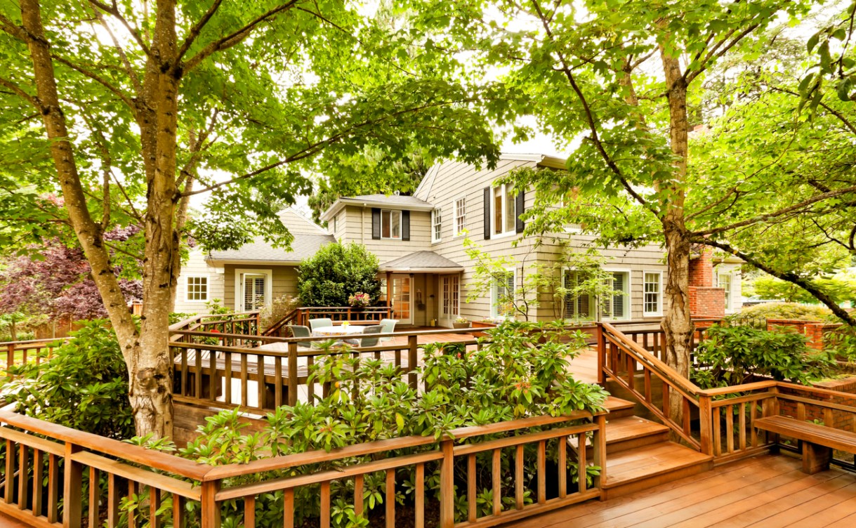 11 Pro Tips for Strategically Planting Trees on Your Property - Bob Vila