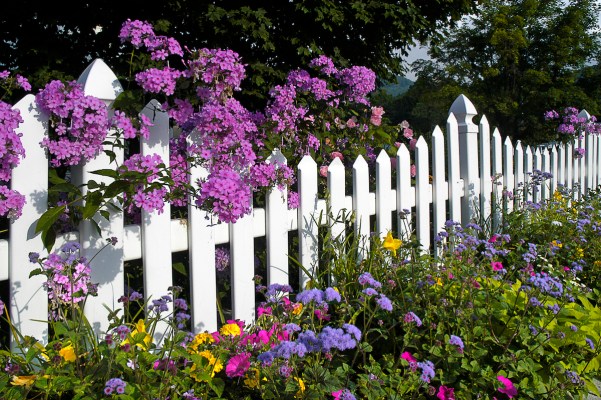 13 Picket Fence Ideas for a Charming Home Landscape - Bob Vila