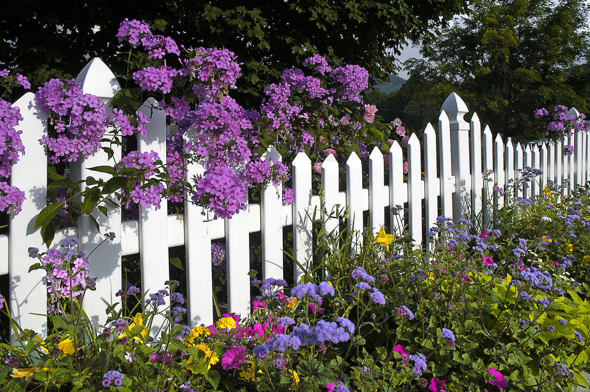 13 Picket Fence Ideas for a Charming Home Landscape - Bob Vila