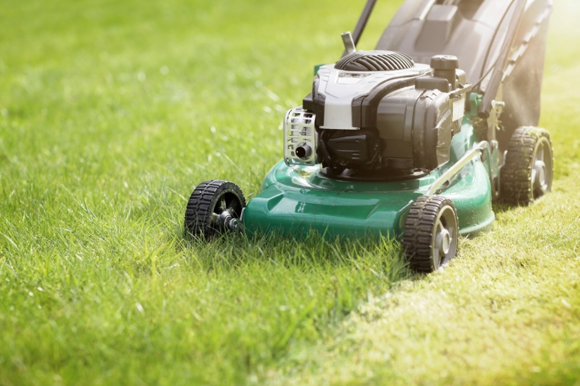 How Often Should You Mow the Lawn? - Bob Vila