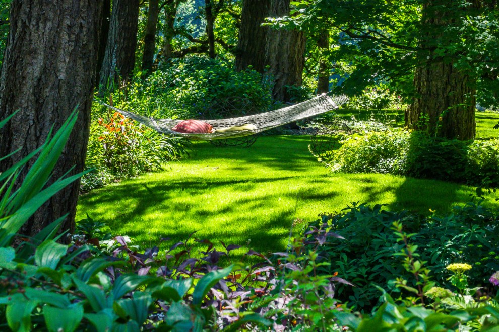 11 Pro Tips for Strategically Planting Trees on Your Property - Bob Vila