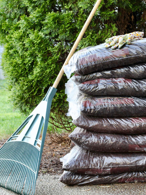 How to Protect Plants From Extreme Heat - Bob Vila