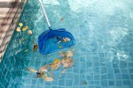 How to Vacuum a Pool Like a Pro - Bob Vila