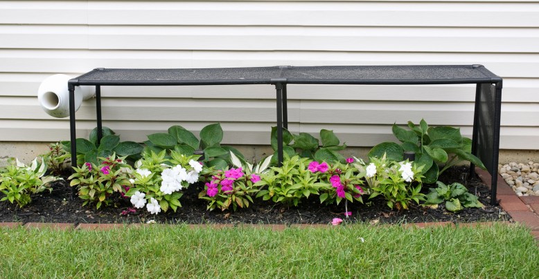 Extreme Heat: How to Protect Your Plants During a Heat Wave