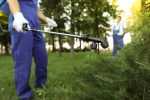 Aptive Pest Control Review: Everything You Need to Know - Bob Vila