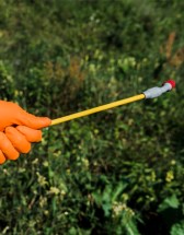 How to Get Rid of No-See-Ums for Good in Just 8 Steps - Bob Vila