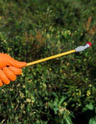 How to Get Rid of No-See-Ums for Good in Just 8 Steps - Bob Vila