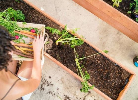 15 Tips for Planning a Successful Raised Garden - Bob Vila