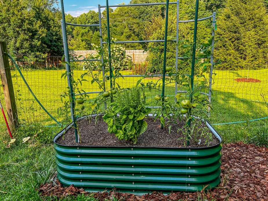 Vego Garden Raised Bed Review: Is It Worth It? - Tested by Bob Vila