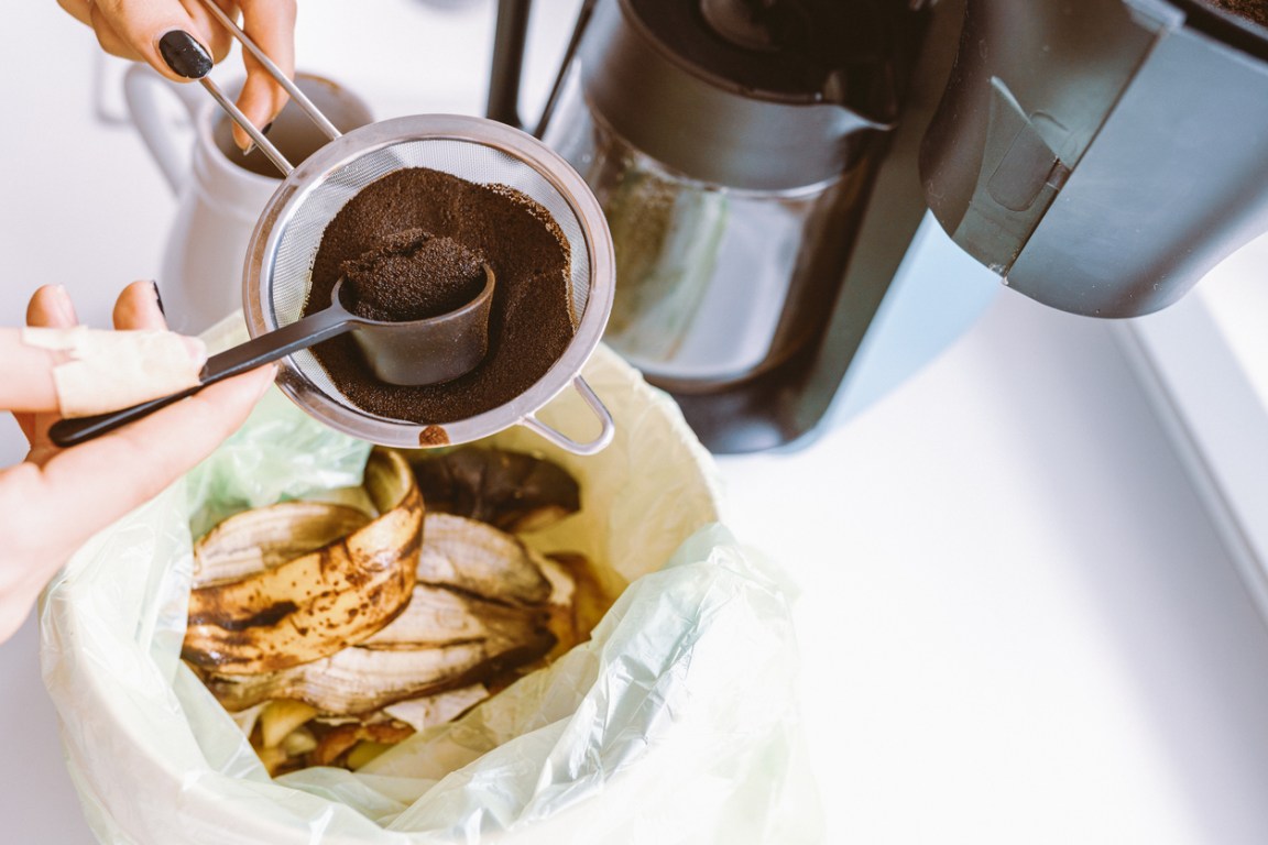 How to Use Coffee Grounds in the Garden