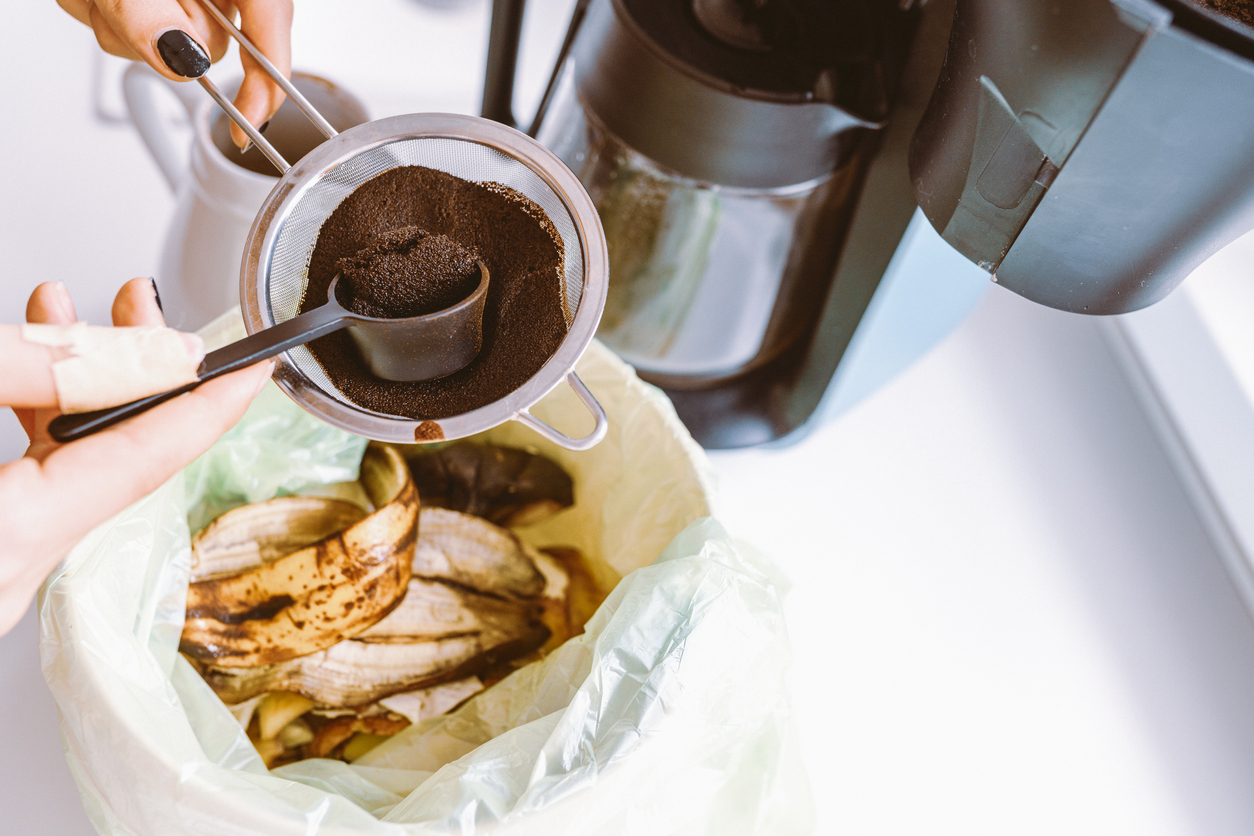 How to Use Coffee Grounds in the Garden