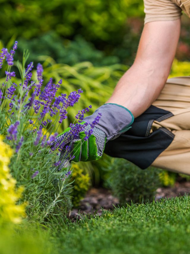 Age-Old Gardening Tricks That Still Work Like a Charm - Bob Vila