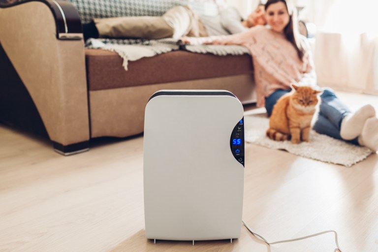 Ideal Indoor Humidity: Target These Levels to Stay Healthy