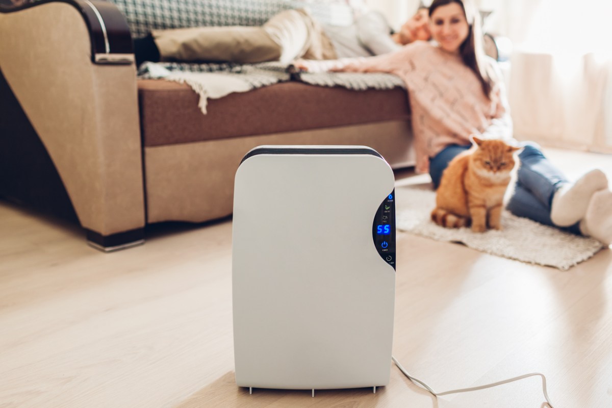 Ideal Indoor Humidity: Target These Levels to Stay Healthy