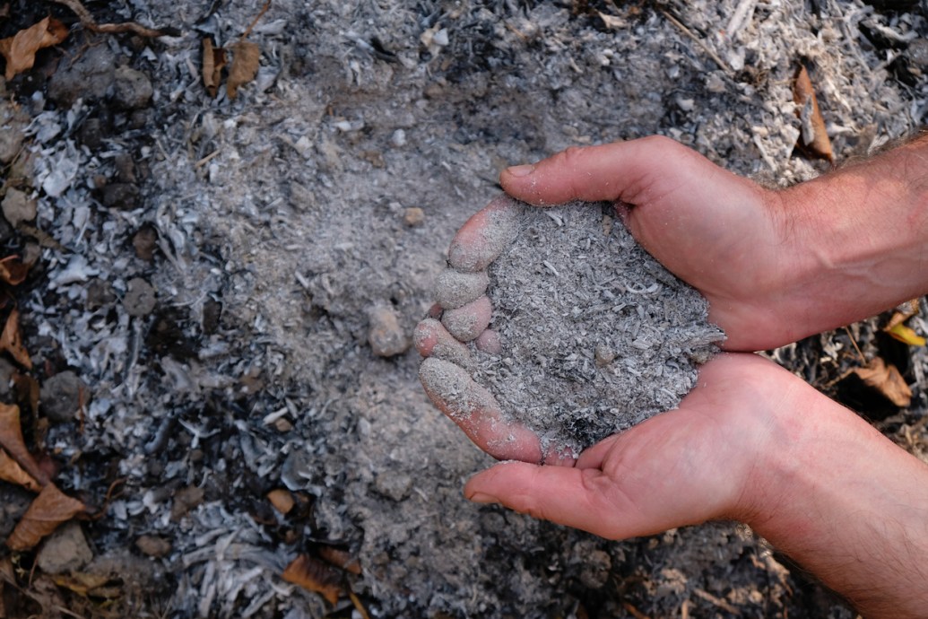 How to Use Wood Ash in the Garden - Bob Vila