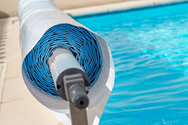 4 Types of Water Bugs in Pools And What to Do About Them - Bob Vila