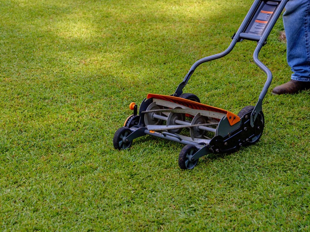 Fiskars Reel Mower Review, Tested and Reviewed by Bob Vila